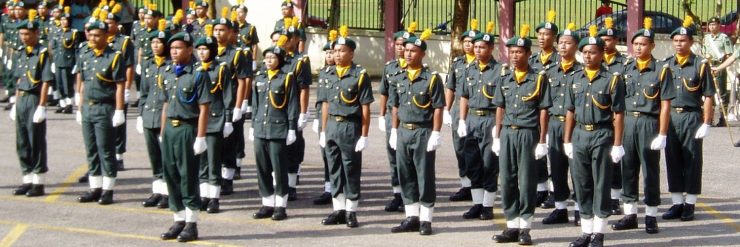 Forest ranger protects our pristine forest - Citizens Journal