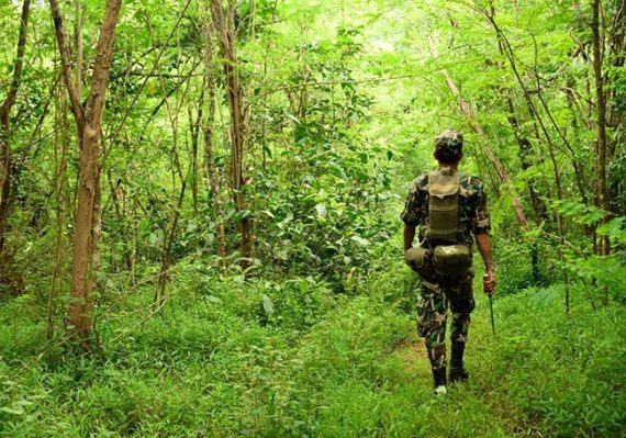 Forest ranger protects our pristine forest - Citizens Journal