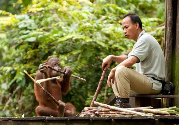 Forest ranger protects our pristine forest - Citizens Journal