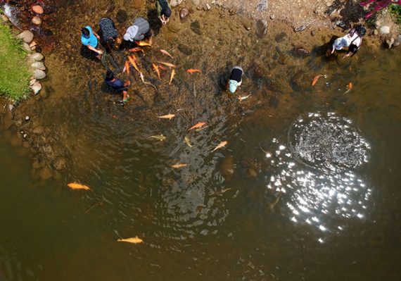 Unique Tagal system excels in preserving rivers in Sabah - Citizens Journal