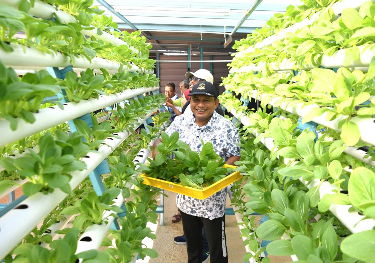 Penganjuran Bengkel Kebun Bandar oleh MBSP memberi impak besar kepada ...