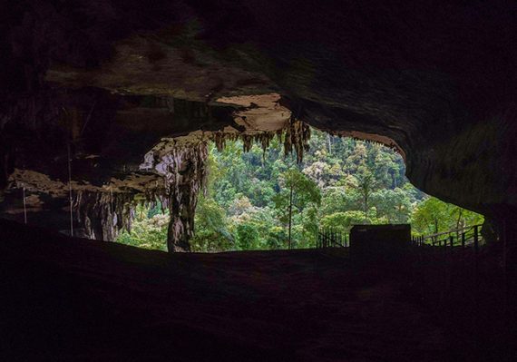 Discover Miri: Adventure and nature at its finest - Citizens Journal