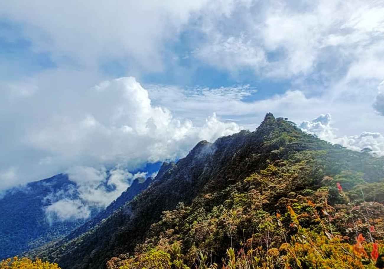 Mount Sinsing is the third tallest mountain in Malaysia - Citizens Journal