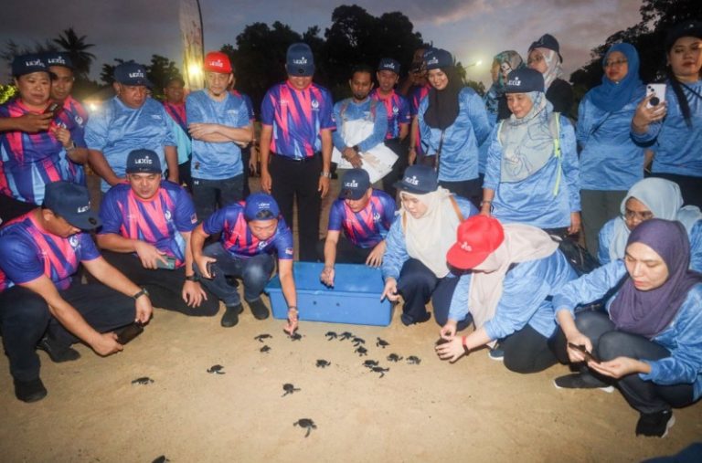 Tourism Malaysia supports turtle conservation initiative - Citizens Journal
