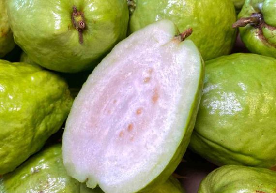 Melaka set to patent Lohan Guava as iconic fruit - Citizens Journal