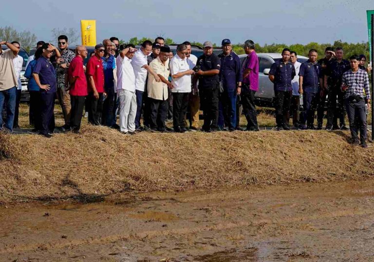 BERNAS boosts glutinous rice production in Langkawi - Citizens Journal