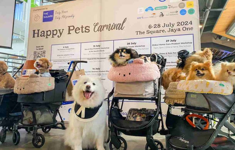 Happy Pets Carnival: A month-long celebration for pet lovers - Citizens ...