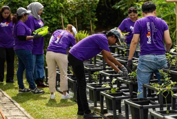 FedEx and TrEES collaborate to tackle food insecurity - Citizens Journal