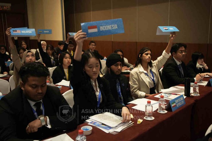 AYIMUN 2025: Shaping future leaders through global diplomacy - Citizens ...