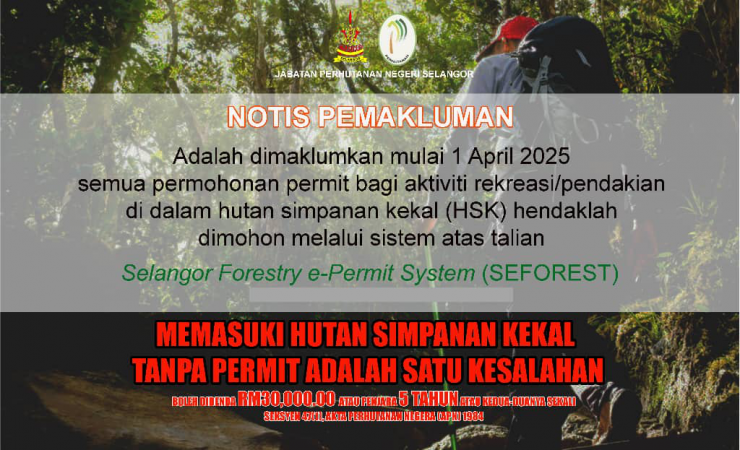Step-by-step guide for Selangor forest hiking permit - Citizens Journal